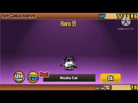 wushu cat en 1 minuto, the battle cats - YouTube