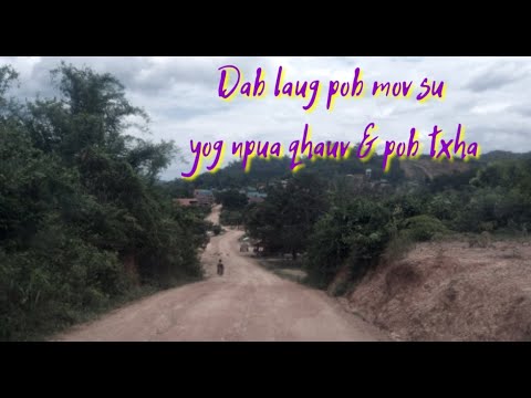 Dab laug pob mov su yog npua qhauv 21-6-2023 - YouTube