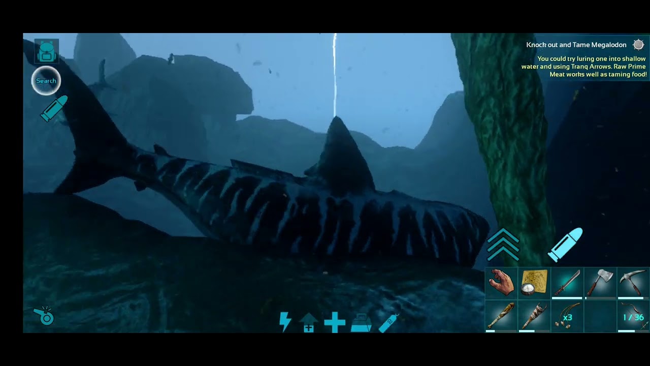 taming a shark :D | Ark Survival Evolved - YouTube