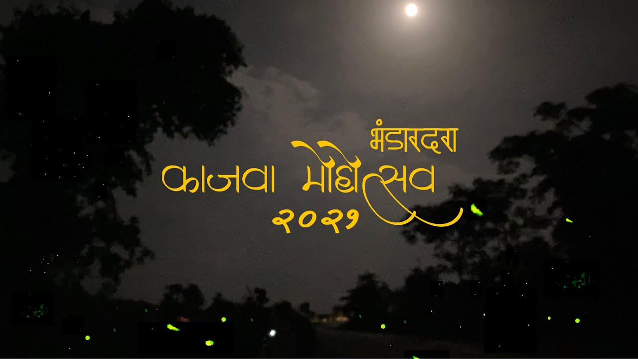 Kajwa Mohotsav Bhandardara 2021 | Fireflies Festival | Motovlog ...