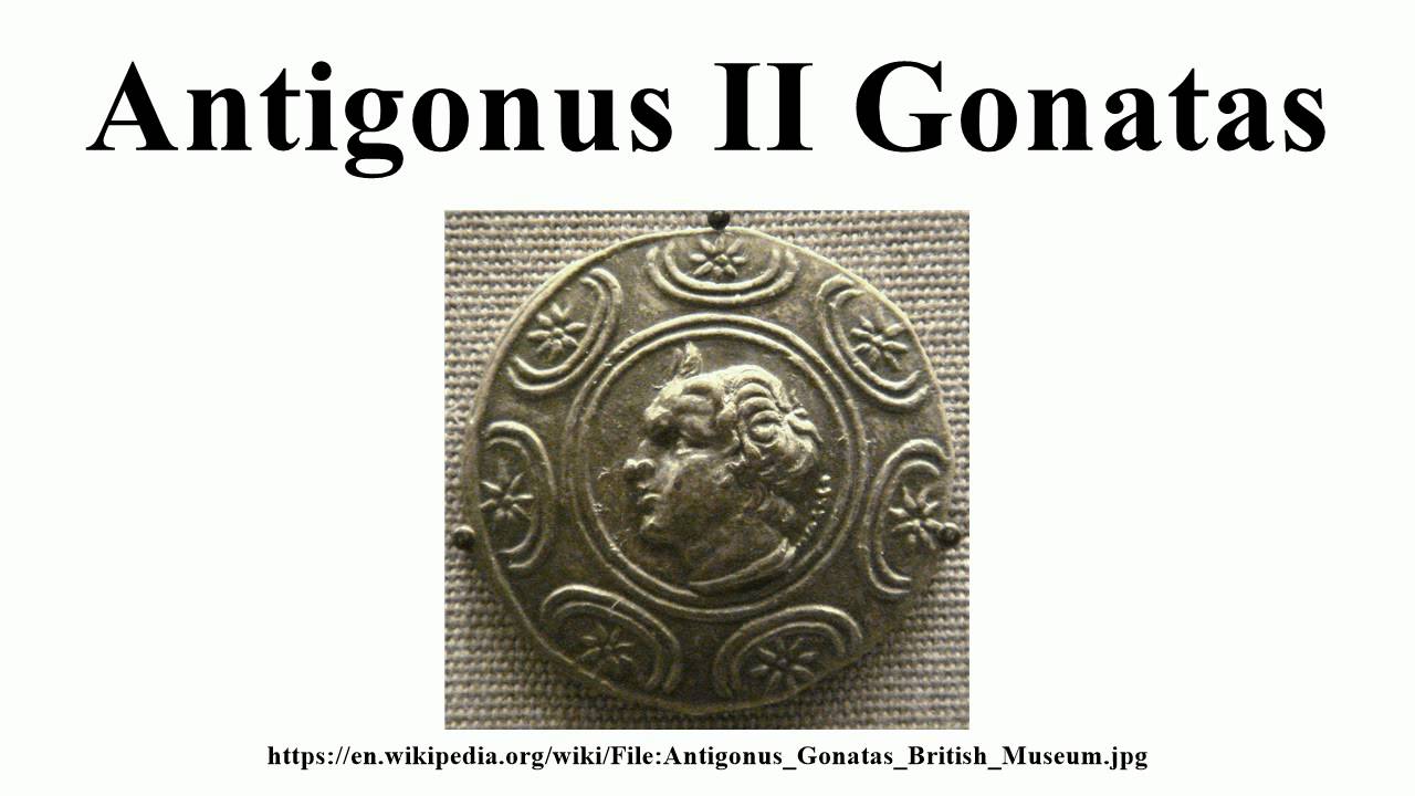 Antigonus II Gonatas - YouTube