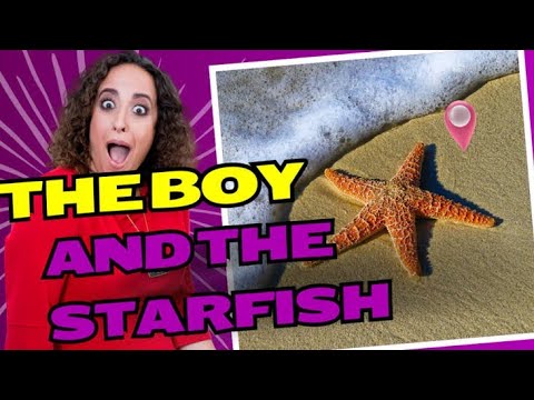 New Documentary about starfish (sea star) and their behaviors - YouTube