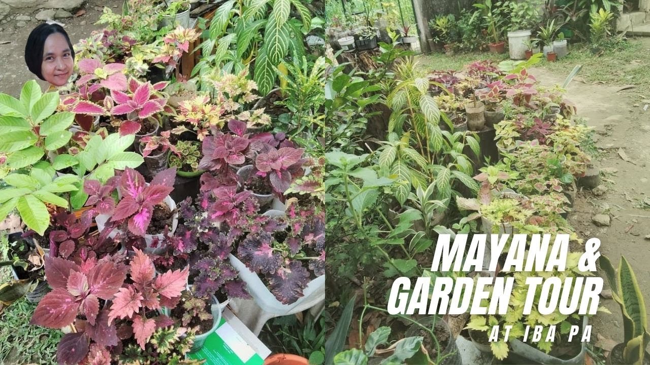 Mayana Garden Tour - YouTube
