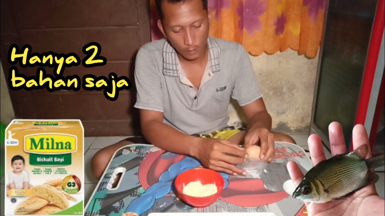 Meracik umpan ikan Tembakang hanya dua bahan ll Tutorial MILNA - YouTube