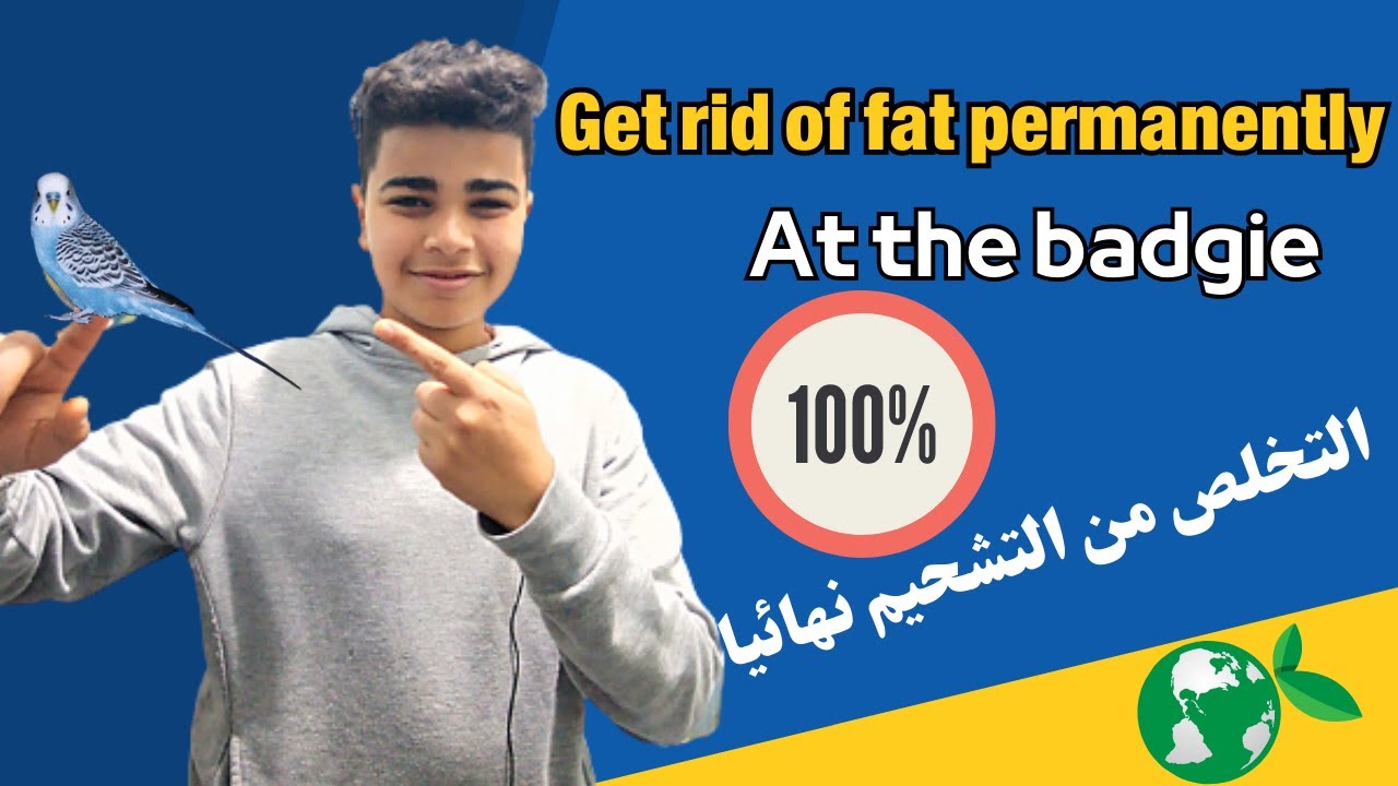 Treatment of fat in budgies| Lubrication and excess weight | علاج ...