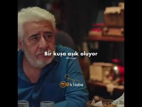 Bir balik bir kusa asik olmus