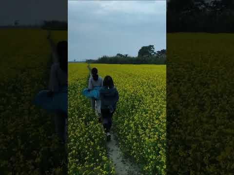 Asa Jili- A Mising Song from Assam