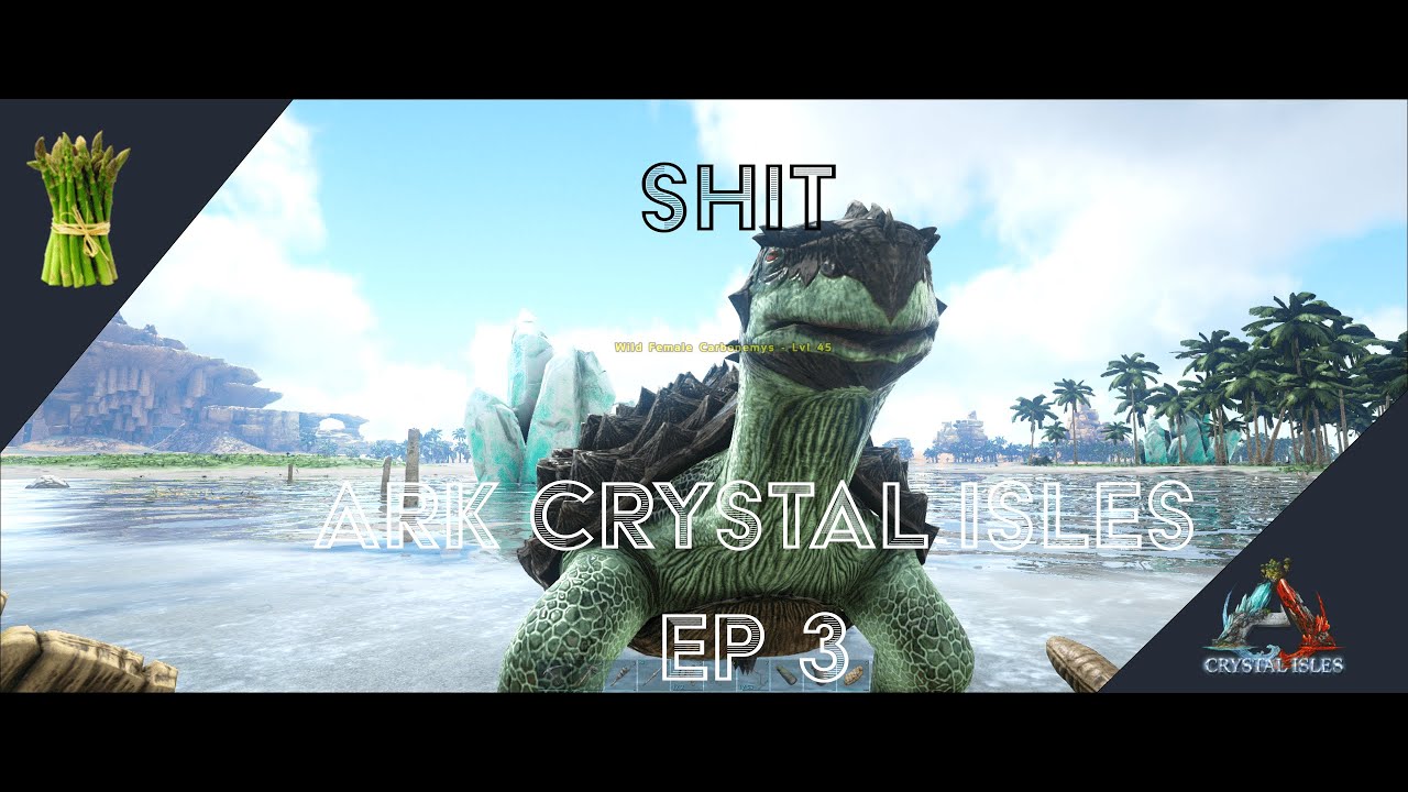 This Idiot just Shit all over His own Balls - YouTube