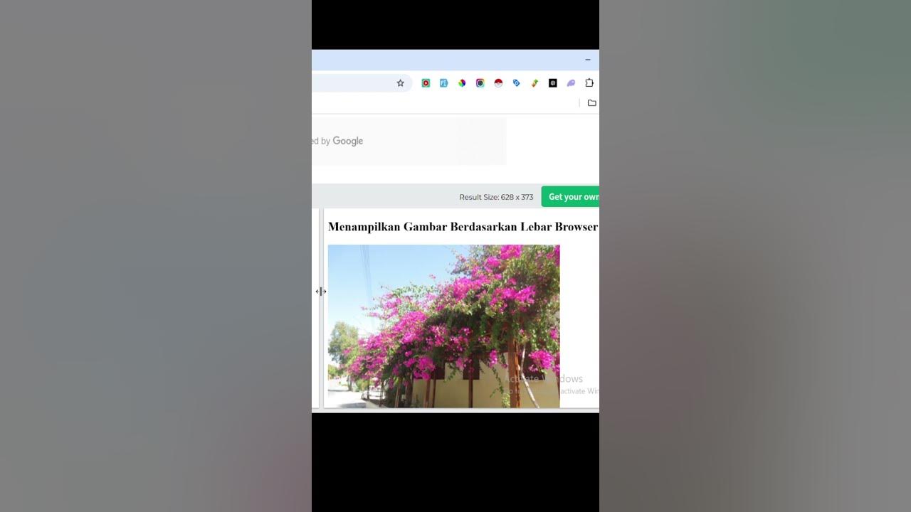Html Img Responsive Coding Codingdaily Codinglife Codingtutorial
