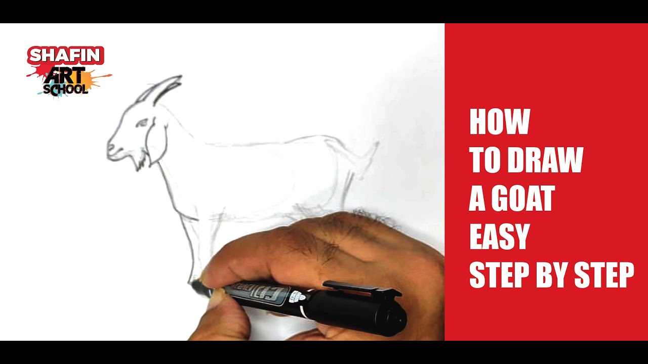 How to DRAW a GOAT Easy Step by Step | Goat drawing easy way for kids ...