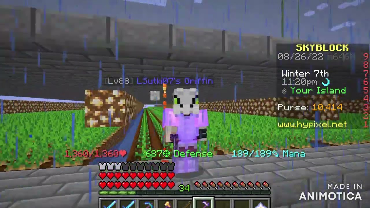 The best potato farm in hypixel skyblock for 200k profit - YouTube