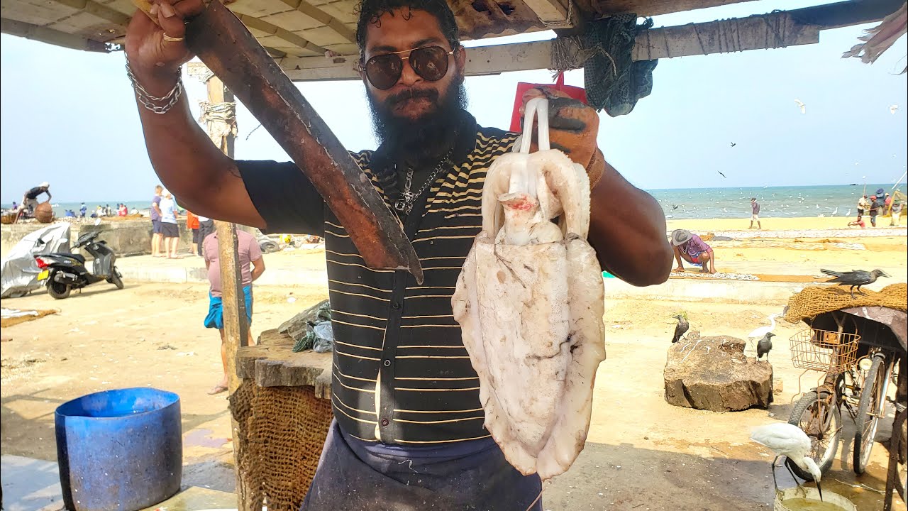 Squid Fish Cutting And Cleaning Skills - YouTube
