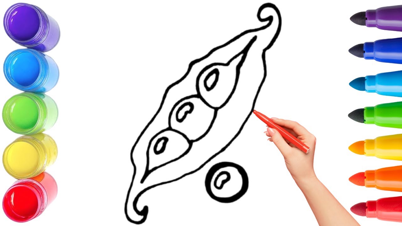 How To Draw cute beans Drawing, Painting & Coloring For Kids and ...