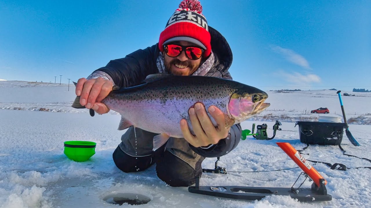 First Ice and a Fat Rainbow Trout to Start the Season - YouTube