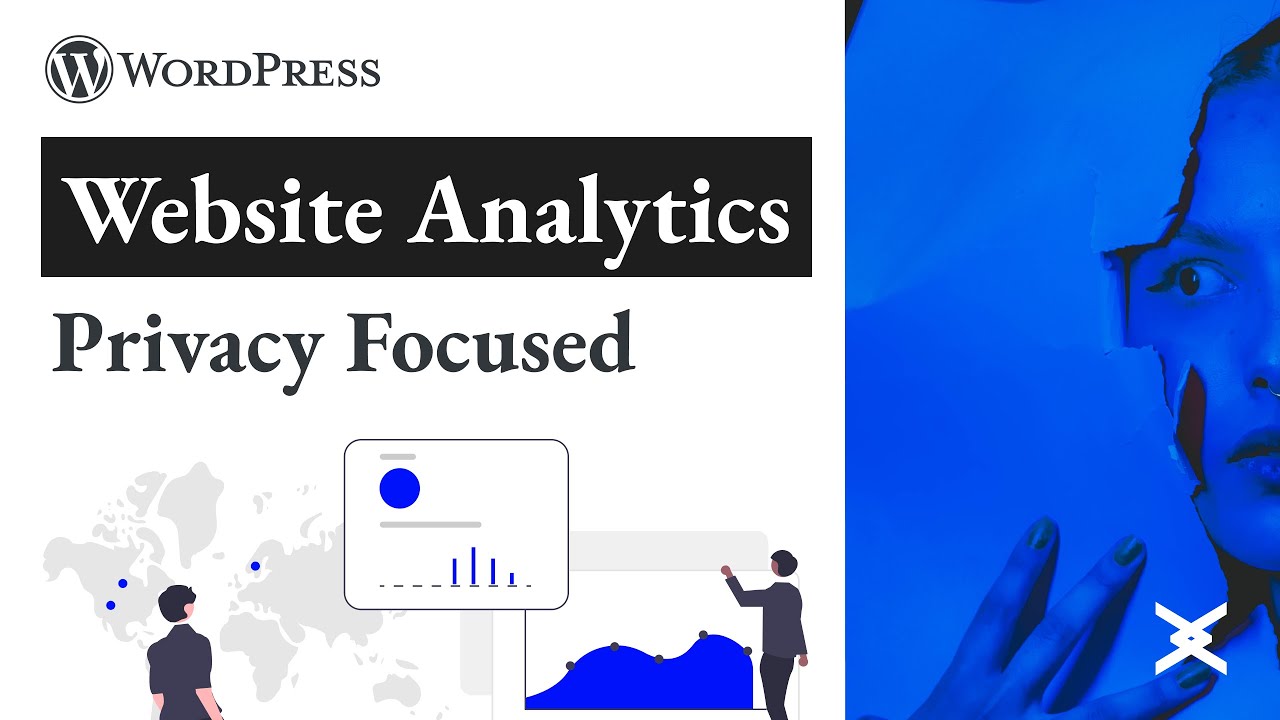 How to Track Website Visitors on WordPress without Google Analytics | Website Analytics with ...