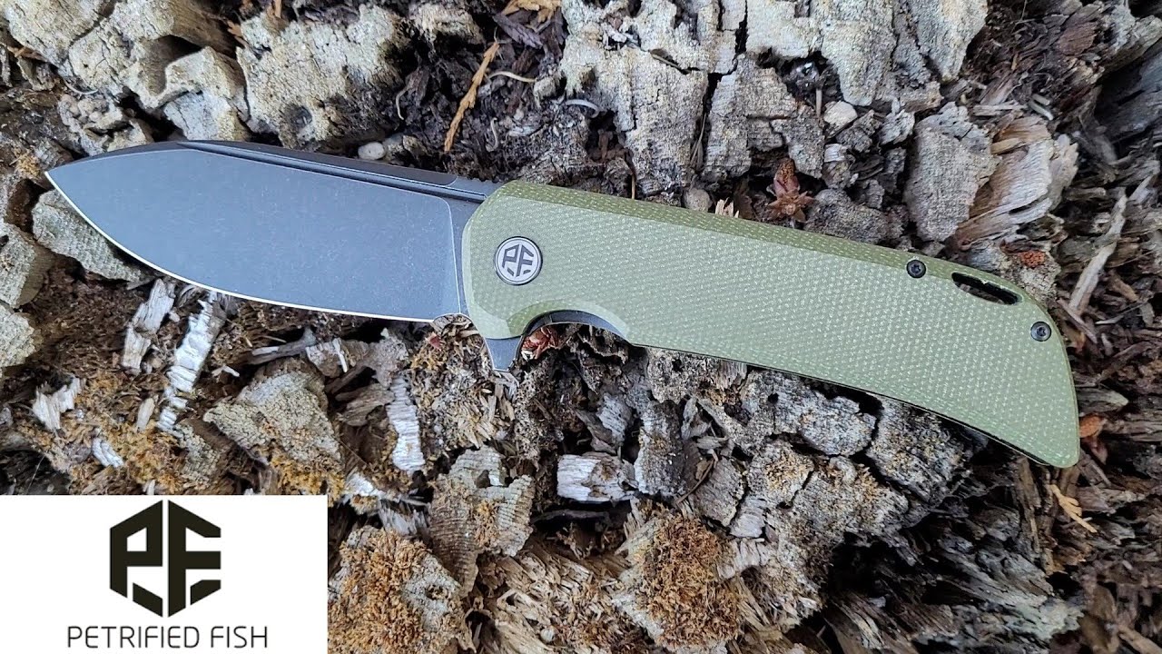 The Petrified Fish Tunny: A Formidable Beast - YouTube