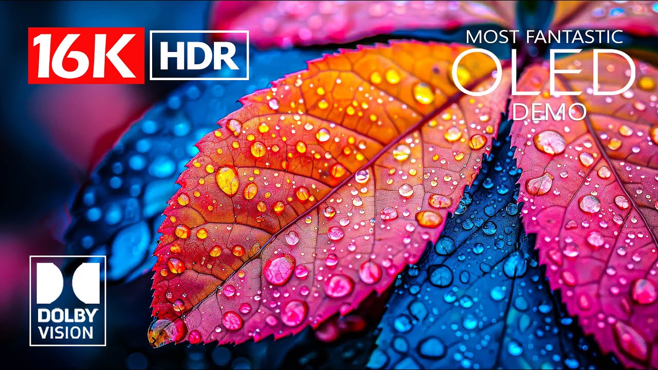 BEST 16K Video - Dolby Vision 16K HDR 120 fps (8K Video ULTRA HD) - YouTube