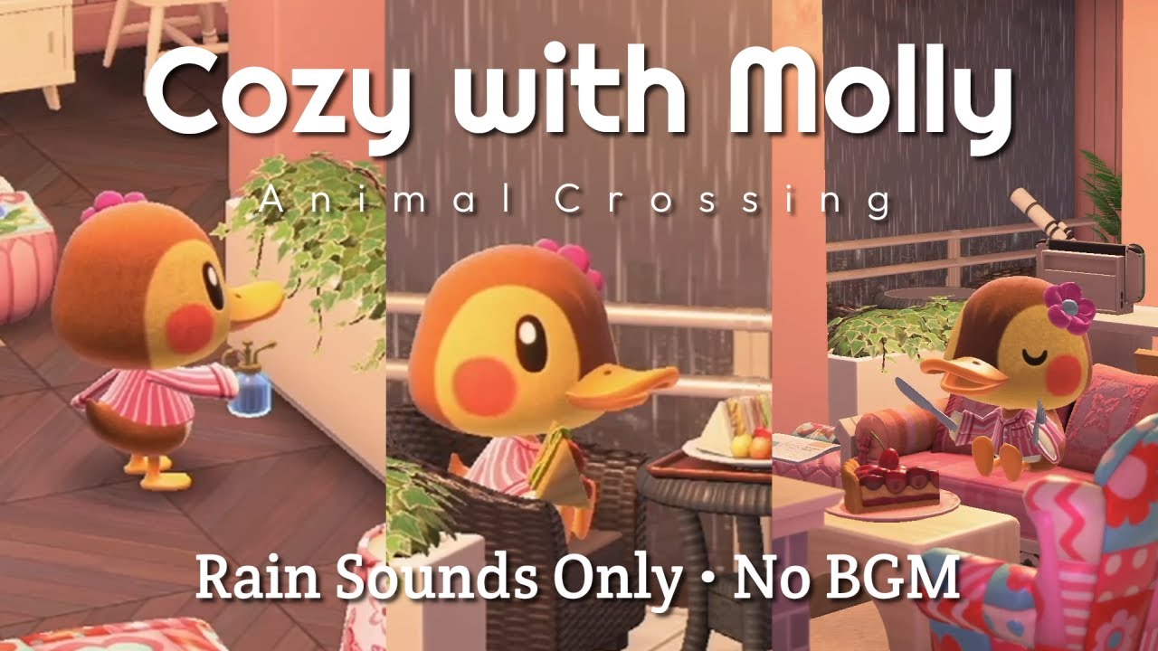 2 Hours of Ambient Rain 🌧️ Sounds for Deep Sleep | 🦆 Molly's Lazy Rainy ...