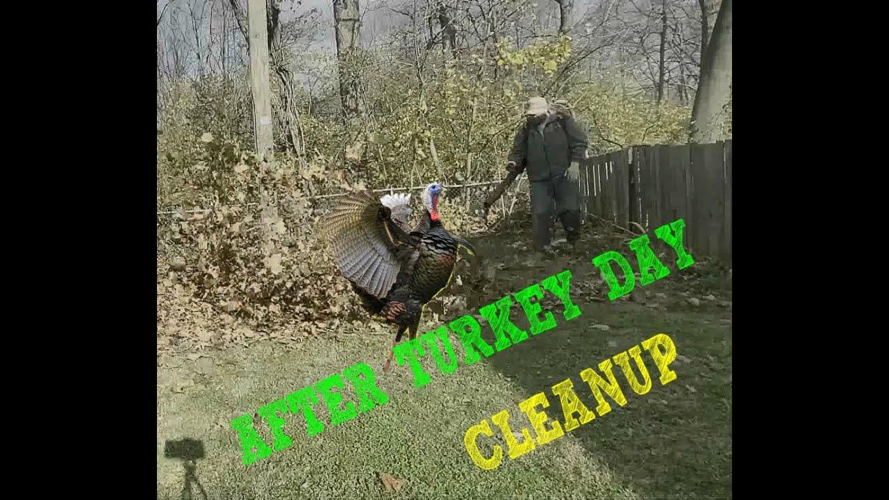 🍽After Turkey Day Cleanup🍽 - YouTube