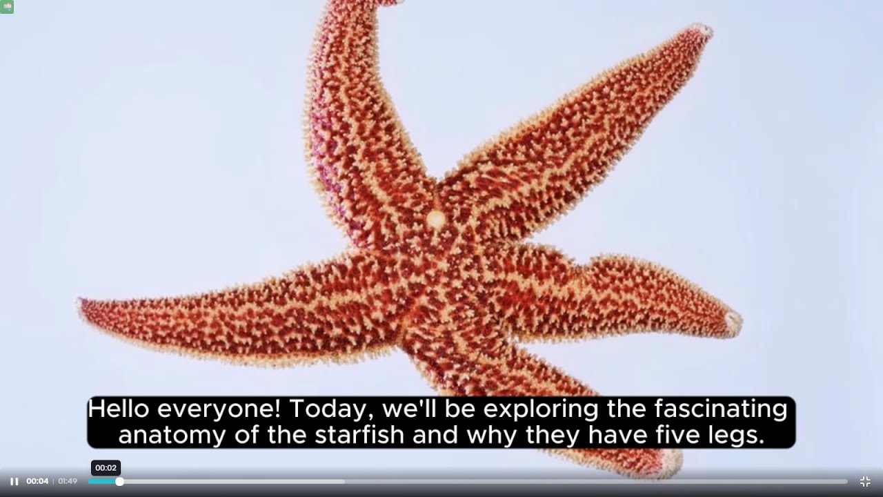 Why do starfish have five legs海星为什么有五条腿 - YouTube