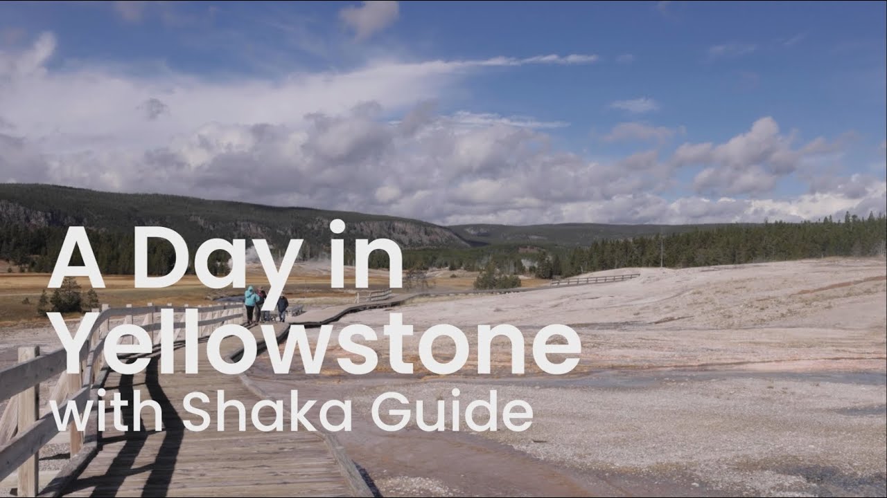 One Epic Day in Yellowstone with Shaka Guide 🌋 - YouTube