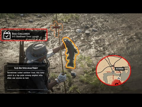 RDR2 Online - Where to catch Steelhead Trout (EASIEST LOCATION!) - YouTube
