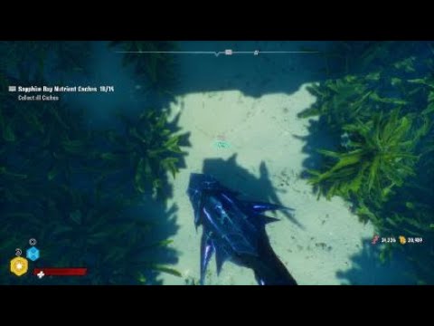Sapphire Bay Missing Nutrient Cache - ManEater PS4 - YouTube