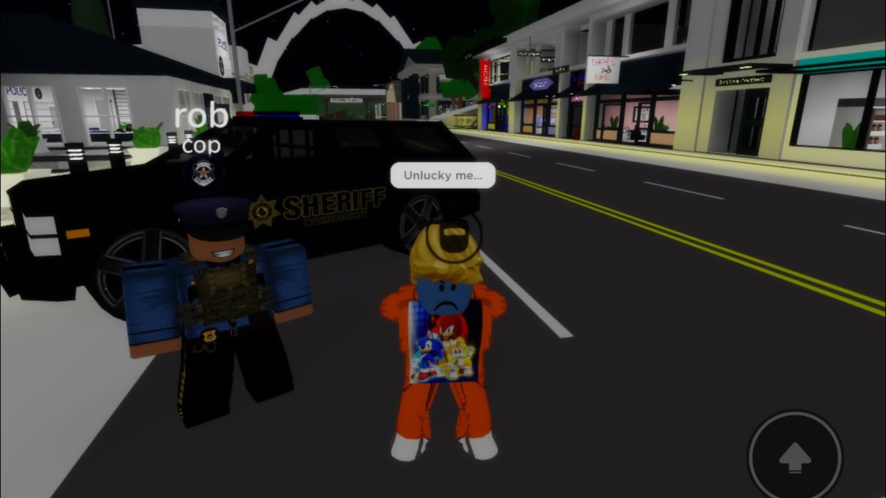 COPS VS ROBBERS RP (Part 1)! Brookhaven! - YouTube