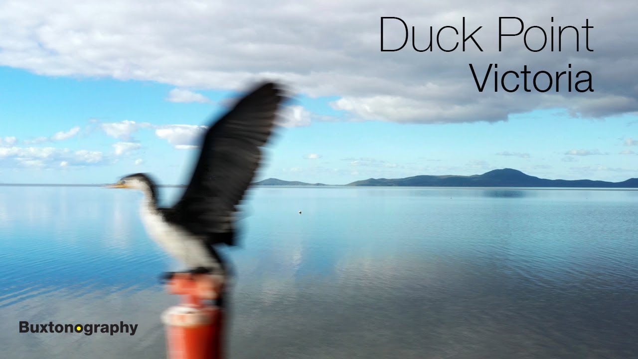 Duck Point - YouTube