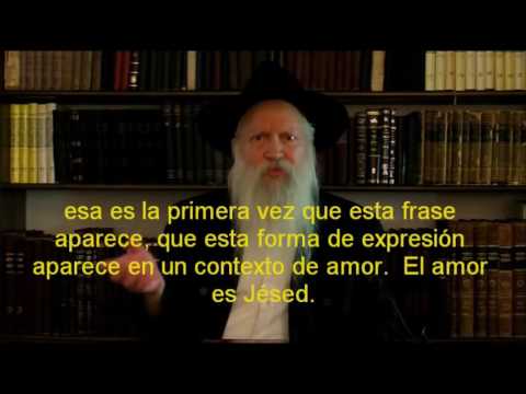 Una Ley para Israel y el Prosélito - Parashat Emor - YouTube