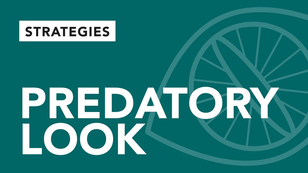 Predatory Look - YouTube