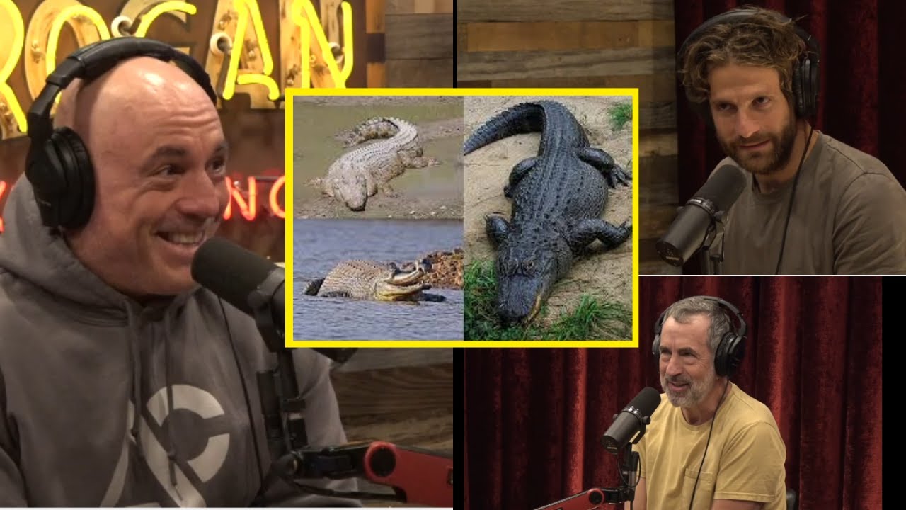 Crocodile Just keeps Getting Bigger And Stronger | Joe Rogan & Eric ...
