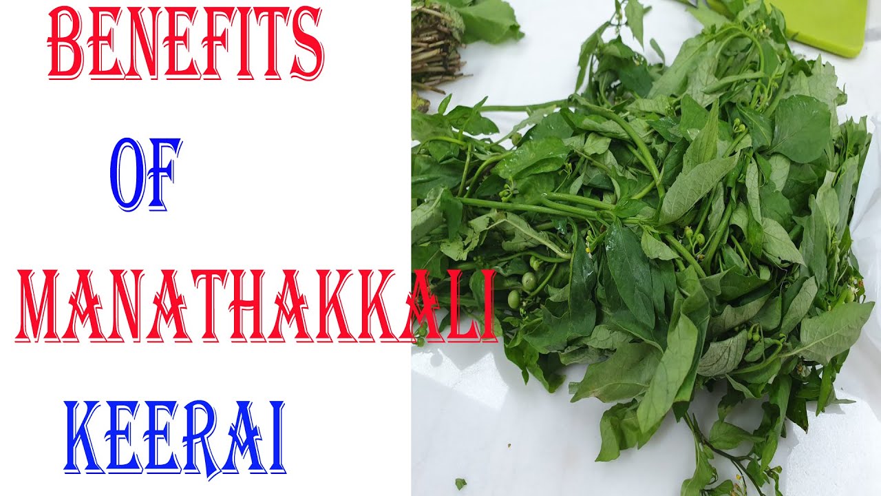 Benefits Of Manathakkali Keerai|அற்புத மருத்துவ குணம் நிறைந்த ...