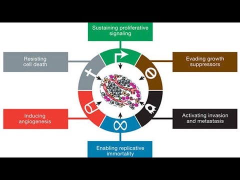 Mnemonics to Remember Cellular and Molecular hallmarks of cancer - YouTube