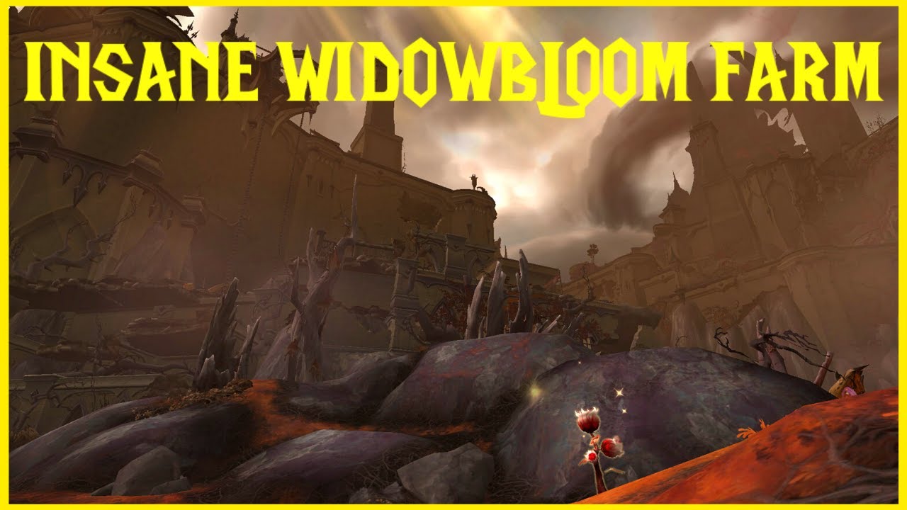 Retail WoW: INSANE WIDOWBLOOM FARM - YouTube