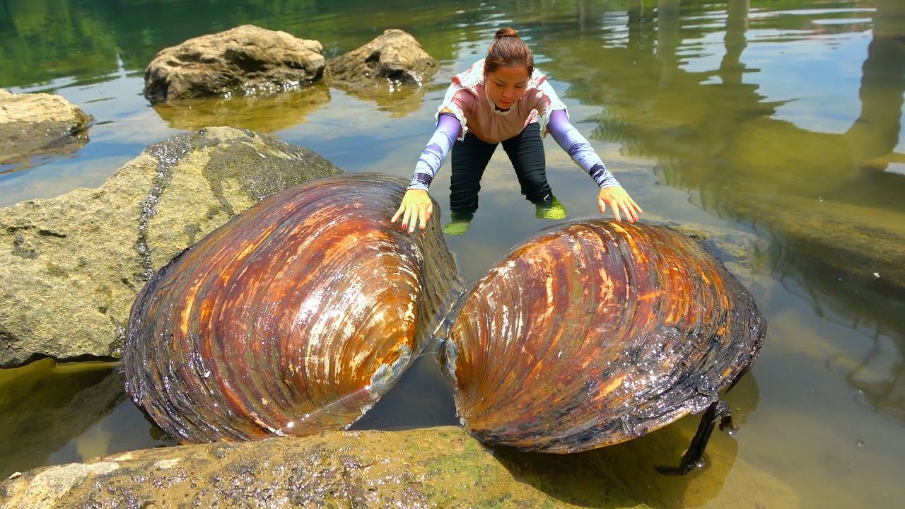 The unfortunate girl found two huge clams. Open it, it's filled with ...