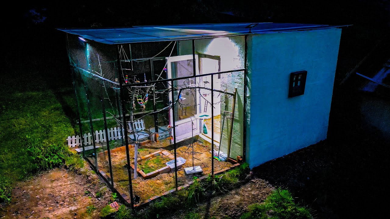 Budgie Cage Outdoor | Completed ️ Part 5 - YouTube