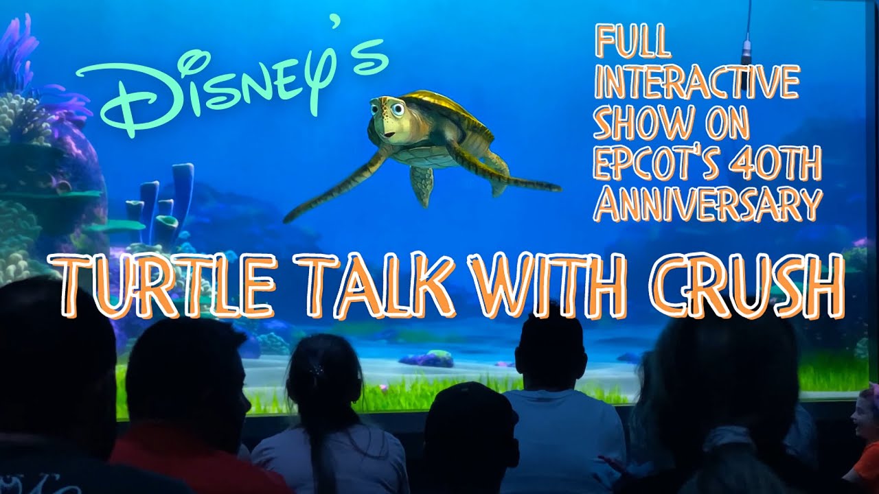 Disney's Turtle Talk With Crush Full Funny Show Oct 2022 | Sea Base ...