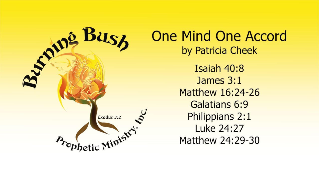 One Mind One Accord (2-6-2020) - YouTube