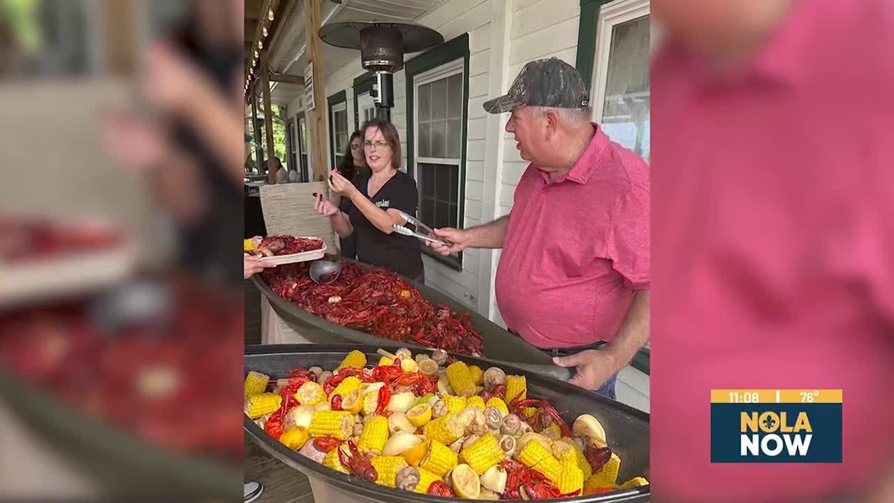 New tourist attraction Gator Town to bring adventures to Westwego - YouTube