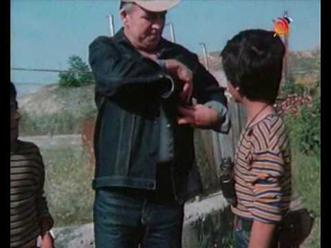 Тайна зелёного острова   (1984)   7/7
