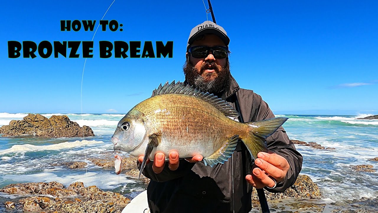 How to: Crayfish Bait for Bronze Bream Fishing - YouTube