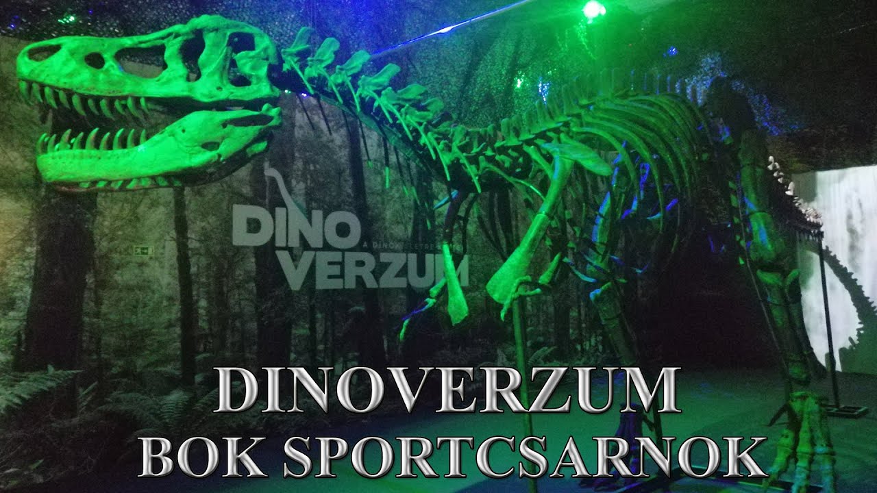 Dinoverzum - BOK Sportcsarnok (Ideiglenes kiállítás - 2023) - YouTube