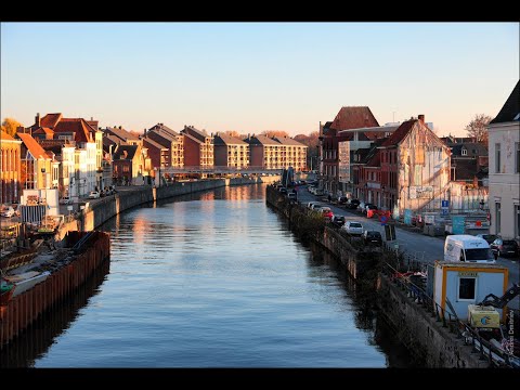 NEAR THE SLOCK ON THE L'ESCAUT RIVER I MET A FLOCK OF GESE....... - YouTube