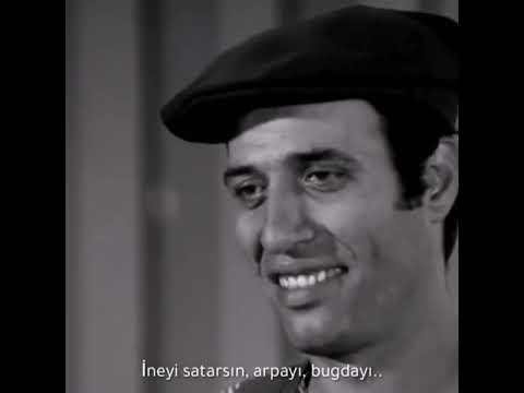 Pul cox şeydi amma her şey deyil