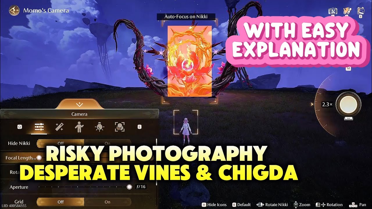 Risky Photography Desperate Vines & Chigda | Infinity Nikki - YouTube