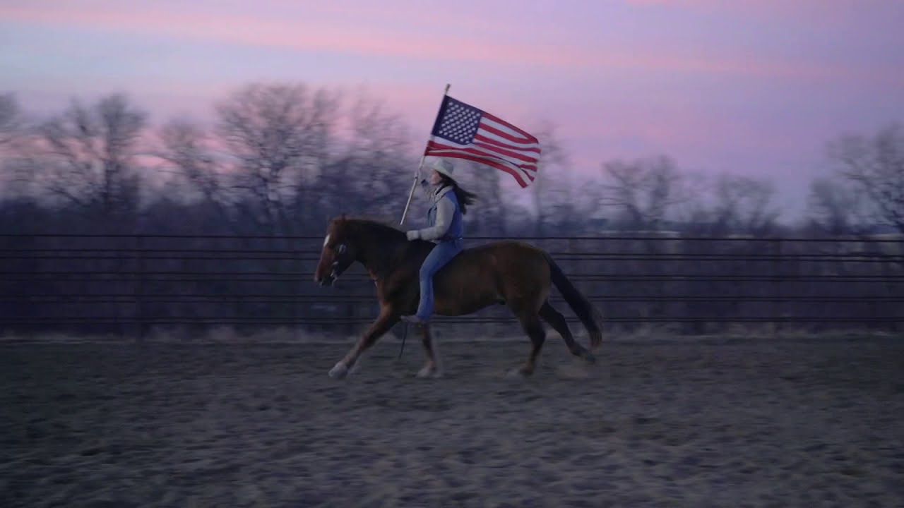 #29 CIMMARON - 2015 Red Dun Draft Cross sells in the Cody Horse Sale ...