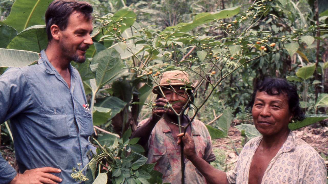 CFV10705 Interview with Dr. James Duke - YouTube