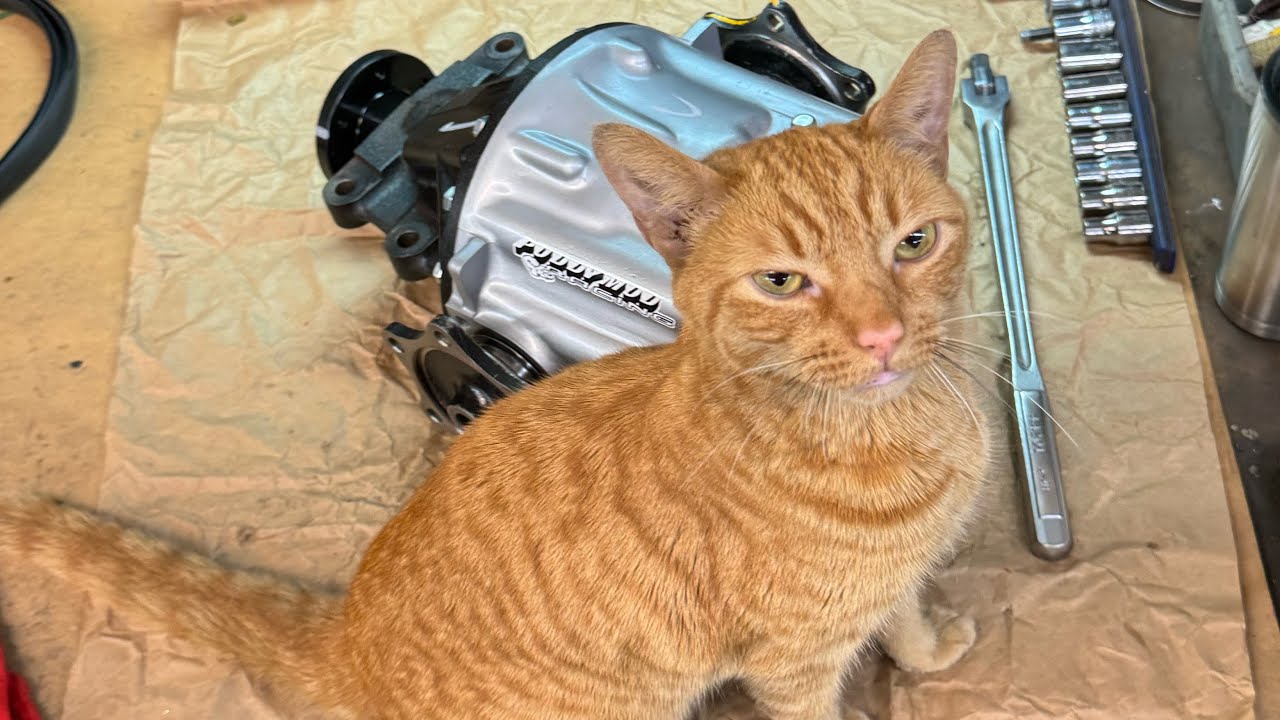 Honda S2000 AP1 differential full restoration rebuild - YouTube