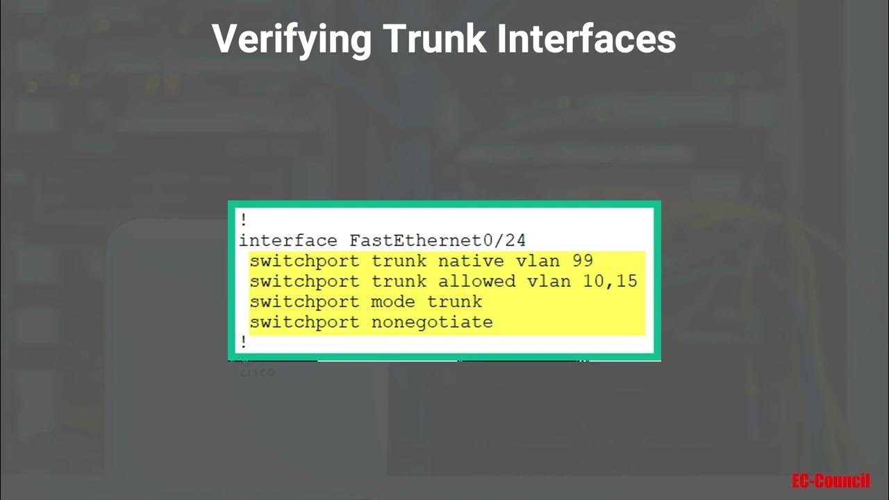 CCNA 200-301 19 - Configuring and Verifying Inter-switch Connectivity - YouTube